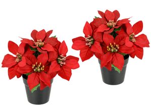 4019844798833 - Kunstblume IGEA Poinsettia im Topf rot B16cm H17cm L16cm Polyester Kunstpflanzen 2er Set Künstliche Blume Weihnachtsstern Christstern Weihnachtsdeko