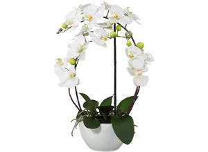 4003529740927 - Kunstpflanze CREATIV GREEN Phalaenopsis Kunstpflanzen Gr H 52 cm 1 St weiß Kunstorchidee Kunstpflanze Zimmerpflanze Künstliche Zimmerpflanzen Kunstpflanzen
