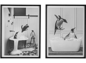 4064118323594 - Bild mit Rahmen CREATIV HOME Leinwandbild Pinguine in Badewanne bunt (farbe rahmen schwarz farbe bild(er) bunt) B30cm H40cm T18cm Canvas Kunststoff Bilder mit Rahmen