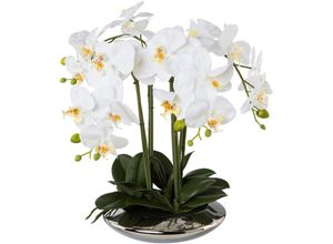 4064118136927 - Kunstorchidee CREATIV GREEN Deko-Orchidee Phalaenopsis in Keramikschale weiß B28cm H41cm T30cm Obermaterial 95% Polyethylen 5% Polyester Kunstpflanzen