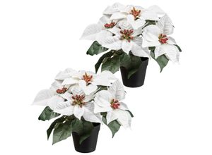 4064118284659 - Winterliche Kunstpflanze CREATIV GREEN Weihnachtsstern weiß H26cm Kunststoff Kunstpflanzen mit üppigem Blütenwerk 4064118284659 - Winterliche Kunstpflanze CREATIV GREEN Weihnachtsstern weiß H26cm Kunststoff Kunstpflanzen mit üppigem Blütenwerk