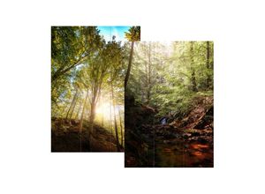 4251312965532 - Paravent Wald