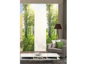 4056751137102 - Schiebegardine HOME WOHNIDEEN GALWAY Gardinen grün Fertiggardine Flächenvorhang Gardine Plissee Sonnenschutz-Plissee Übergardine Vorhang nach Räumen HxB 245x60 inkl Befestigungszubehör 4056751137102 - Schiebegardine HOME WOHNIDEEN GALWAY Gardinen grün Fertiggardine Flächenvorhang Gardine Plissee Sonnenschutz-Plissee Übergardine Vorhang nach Räumen HxB 245x60 inkl Befestigungszubehör