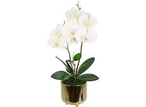 4019844796136 - Kunstblume IGEA Orchidee weiß B18cm H42cm L12cm Polyester Kunstpflanzen