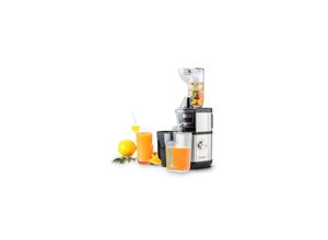 4260435915058 - Fruitberry Entsafter Slow Juicer 400 Watt 60 U min Ø 85 cm BPA-frei Silber