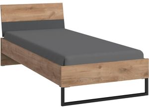 4065981011564 - Einzelbett WIMEX Texel erhältlich in den Breiten 90 & 140cm plankeneiche nachbildung grafit plankeneiche nachbildung grafit plankeneiche nachbildung schwarz B96cm H71cm L210cm Betten Mit Metallkufe Bett im Industrial Look 4065981011564 - Einzelbett WIMEX Texel erhältlich in den Breiten 90 & 140cm plankeneiche nachbildung grafit plankeneiche nachbildung grafit plankeneiche nachbildung schwarz B96cm H71cm L210cm Betten Mit Metallkufe Bett im Industrial Look