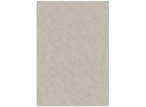 4255632536113 - Hochflor-Teppich Dovel - Recyceltes Polyester - Nachhaltig & Weich Farbe Beige 120x170 cm Kadima Design