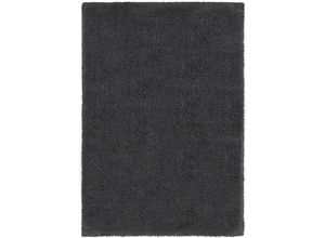 4255632539503 - Strapazierfähiger & Kuscheliger Hochflor-Teppich Lyne Farbe Anthrazit 80x150 cm Kadima Design 4255632539503 - Strapazierfähiger & Kuscheliger Hochflor-Teppich Lyne Farbe Anthrazit 80x150 cm Kadima Design