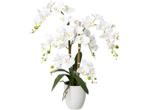 4064118136958 - Kunstorchidee CREATIV GREEN Deko-Orchidee Phalaenopsis im Keramiktopf weiß B28cm H67cm T28cm Obermaterial 95% Polyethylen 5% Polyester Kunstpflanzen