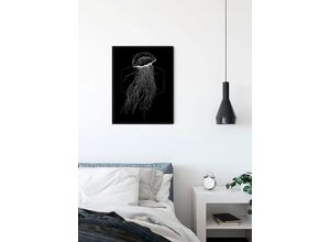 4055065152221 - Bild KOMAR Jellyfish Black bunt (farbe bild(er) bunt) B50cm H70cm Holz Papier Bilder Wandbild zur Dekoration - ohne Rahmen 4055065152221 - Bild KOMAR Jellyfish Black bunt (farbe bild(er) bunt) B50cm H70cm Holz Papier Bilder Wandbild zur Dekoration - ohne Rahmen