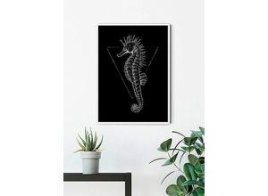 4055065152351 - Bild KOMAR Sea Horse Black bunt (farbe bild(er) bunt) B40cm H50cm Papier Holz Bilder Wandbild zur Dekoration - ohne Rahmen
