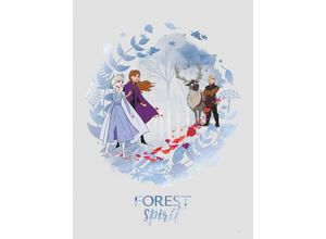 4055065161988 - Bild KOMAR Frozen Spirit bunt (farbe bild(er) bunt) B30cm H40cm Holz Papier Bilder Wandbild zur Dekoration im Kinderzimmer - ohne Rahmen 4055065161988 - Bild KOMAR Frozen Spirit bunt (farbe bild(er) bunt) B30cm H40cm Holz Papier Bilder Wandbild zur Dekoration im Kinderzimmer - ohne Rahmen