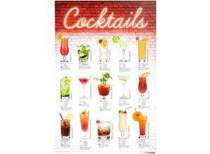 8714597336528 - Poster REINDERS Cocktails Rezepte bunt (farbe bild(er) mehrfarbig) B61cm H915cm Papier Bilder