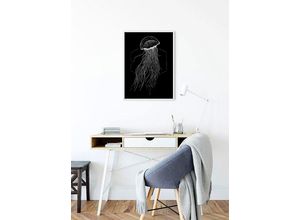 4055065152238 - Bild KOMAR Jellyfish Black bunt (farbe bild(er) bunt) B40cm H50cm Holz Papier Bilder Wandbild zur Dekoration - ohne Rahmen