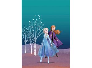 4055065162053 - Bild KOMAR Frozen Sisters bunt (farbe bild(er) bunt) B50cm H70cm Holz Papier Bilder Wandbild zur Dekoration im Kinderzimmer - ohne Rahmen 4055065162053 - Bild KOMAR Frozen Sisters bunt (farbe bild(er) bunt) B50cm H70cm Holz Papier Bilder Wandbild zur Dekoration im Kinderzimmer - ohne Rahmen