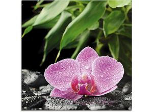 4055327042666 - Glasbild ARTLAND Rosa Orchidee auf schwarzen Zen Steinen Bilder Gr B H 20 cm x 20 cm Blumen 1 St pink Glasbilder Bilder in verschiedenen Größen 4055327042666 - Glasbild ARTLAND Rosa Orchidee auf schwarzen Zen Steinen Bilder Gr B H 20 cm x 20 cm Blumen 1 St pink Glasbilder Bilder in verschiedenen Größen