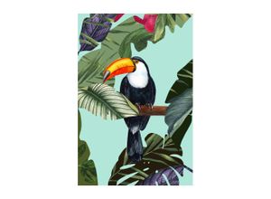 4055065200236 - Bild KOMAR Toco Toucan bunt (farbe bild(er) bunt) B50cm H70cm Papier Holz Bilder Wandbild zur Dekoration - ohne Rahmen