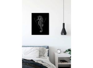 4055065152344 - Bild KOMAR Sea Horse Black bunt (farbe bild(er) bunt) B50cm H70cm Holz Papier Bilder Wandbild zur Dekoration - ohne Rahmen