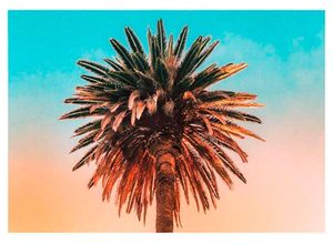 4055065156441 - KOMAR Poster Palm Tree Bilder Kinderzimmer Schlafzimmer Wohnzimmer Gr B H 50 cm x 40 cm Pflanzen-Blätter 1 St bunt Poster 4055065156441 - KOMAR Poster Palm Tree Bilder Kinderzimmer Schlafzimmer Wohnzimmer Gr B H 50 cm x 40 cm Pflanzen-Blätter 1 St bunt Poster