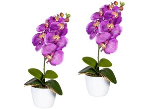 4064118040958 - Kunstpflanze CREATIV GREEN Orchidee Phalaenopsis Kunstpflanzen Gr H 40 cm 2 St lila Künstliche Zimmerpflanzen Kunstpflanzen im Keramiktopf