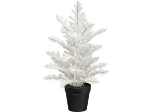 4064118351825 - Winterliche Kunstpflanze CREATIV GREEN Tannenbäumchen Araucaria weiß H39cm Ø17cm Kunststoff Kunstpflanzen mit Glitzeroptik