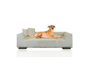 4260056112584 - Hundesofa gepolstert Cord breit beige