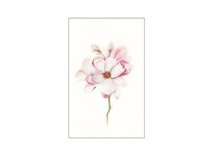 4055065151958 - Bild KOMAR Magnolia Blossom rosa (farbe bild(er) rosa) B50cm H70cm Holz Papier Bilder Wandbild zur Dekoration - ohne Rahmen