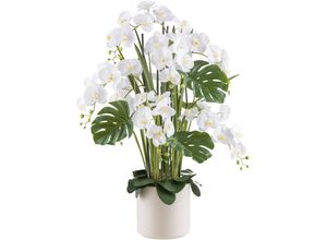 4064118240822 - Kunstorchidee CREATIV GREEN Orchidee Phalaenopsis beige (creme) Kunstpflanzen H 120cm Kunststoff mit Gräsern und Splitphilo-Blättern H120cm