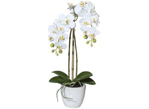 4064118040729 - Kunstpflanze CREATIV GREEN Orchidee Phalaenopsis Kunstpflanzen Gr H 43 cm 1 St weiß Künstliche Zimmerpflanzen Kunstpflanzen im Keramiktopf