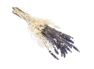 4058896401711 - Trockenblumenmix flieder-weiß-natur