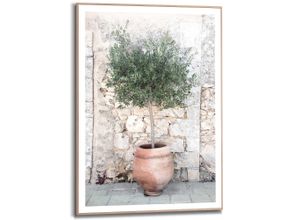8714597655247 - Bild mit Rahmen REINDERS Olive Tree grün (farbe bild(er) grün) B50cm H70cm T22cm Holzwerkstoff Bilder