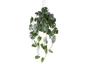 4064118242246 - Kunstpflanze CREATIV GREEN Philodendron varigata grün (grünweiß) H80cm Kunststoff Kunstpflanzen mit Hängetopf