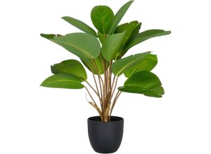 4064118352327 - Kunstpflanze CREATIV GREEN Philodendron grün H45cm Kunststoff Kunstpflanzen mit naturgetreuem Blattwerk