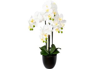 4064118137931 - Kunstorchidee CREATIV GREEN Phalaenopsis im Resintopf weiß H69cm Obermaterial 100% Polyethylen Kunstpflanzen mit Real-Touch-Blüten