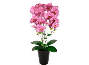 4019844790448 - Kunstblume IGEA Orchidee rosa (rosa muttertag ostern valentinstag vatertag weihnachten) B26cm H58cm L18cm Kunstpflanzen Im Topf Phalaenopsis Orchidee Phalaenopsis mit Übertopf Hochzeit
