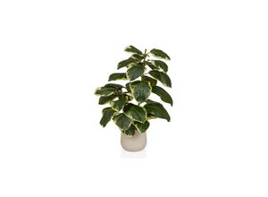 4064323108566 - Kunstpflanze Ficus 3 Kunststoff Eisen