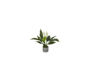 4064323108580 - Kunstpflanze Spathiphyllum 1 Kunststoff