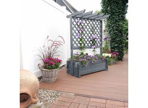 4012379315155 - Rankkasten mit Pergola grau