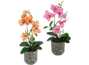 4019844779023 - Kunstpflanze IGEA Orchidee Kunstpflanzen Gr B H L 18 cm x 38 cm x 38 cm 2 St bunt (rosa orange) Künstliche Zimmerpflanzen Mit Blättern und Luftwurzeln im Topf aus Keramik 2er Set