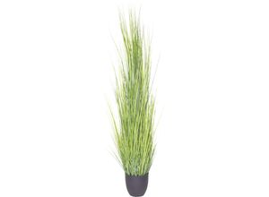8505455133911 - Kunstgras BOTANIC-HAUS Gras Festuca grün B55cm H180cm T55cm Ø55cm Kunststoff Kunstpflanzen