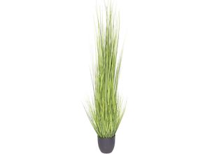 8505455133812 - Kunstgras BOTANIC-HAUS Gras Festuca grün B55cm H150cm T55cm Ø55cm Kunststoff Kunstpflanzen