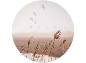 8714597611410 - Wandbild REINDERS Wandbild Fliegende Gänse Sommer - Himmel Pampasgras Horizont Bilder Gr B H 50 cm x 50 cm Vögel 1 St grün (khaki) Kunstdrucke