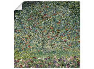 4055327540049 - Wandbild ARTLAND Apfelbaum I 1912 Bilder Gr B H 50 cm x 50 cm Poster Bäume 1 St grün Bild Leinwandbild Kunstdrucke Bilder als Alubild Leinwandbild Wandaufkleber oder Poster in versch Größen