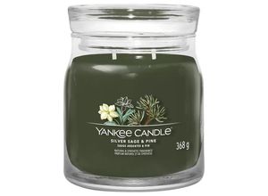 5038581129389 - Yankee-Candle Raumduefte Votivkerze-im-GlasSilver Sage + PineDuftkerze 367 g (7063 €   1 kg)