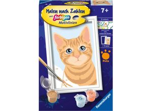 4005556237562 - Malen nach Zahlen RAVENSBURGER CreArt Niedliche Katze bunt Malvorlagen KinderB5cm H12cm Made in Europe B5cm H12cm
