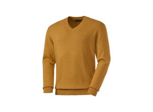 9010497194367 - Herren Pullover mit V-Ausschnitt