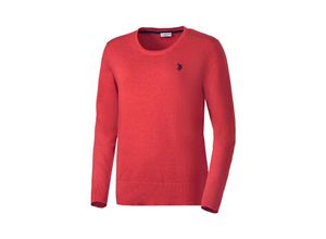 9010497291400 - Damen Pullover Rundhals