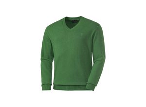 9010497194190 - Herren Pullover mit V-Ausschnitt