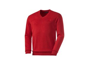 9010497194268 - Herren Pullover mit V-Ausschnitt