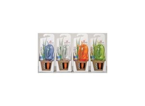 4250987136834 - Scheurich 4er-Set Bewässerungskugel Blumenbewässerung Wasserspender *Bördy* - H15cm 90ml